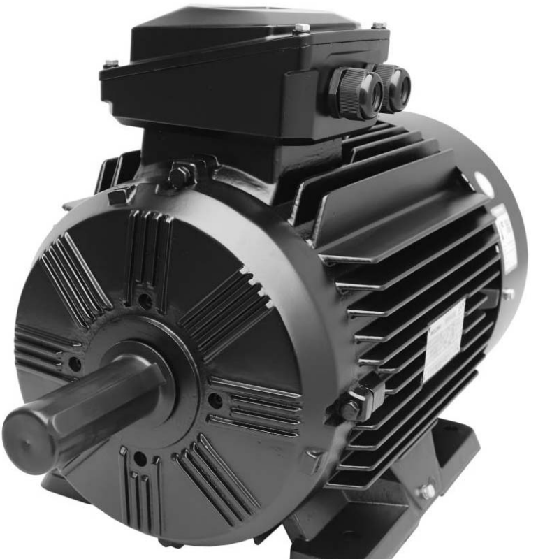 Wolong YE4 Series Ultra-efficient Three-phase Asynchronous Motor